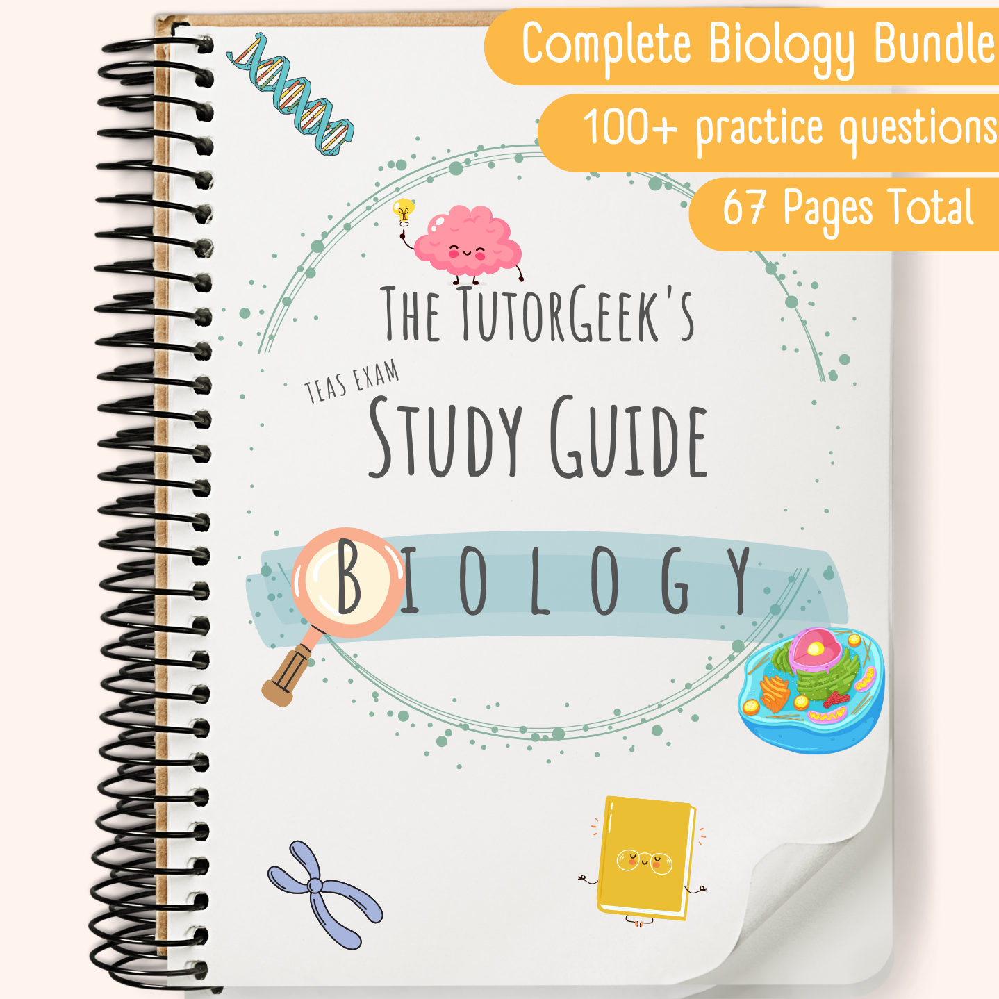 TEAS Biology Study Guide + 100 Must Know Practice Questions – TheTutor_Geek